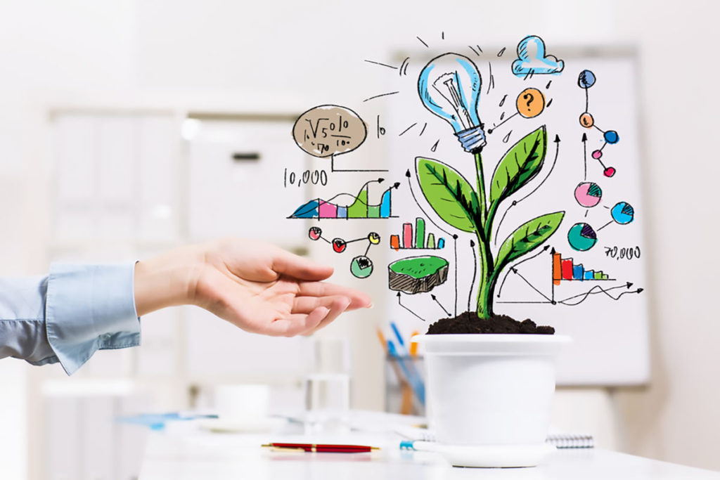 startup green - Habitante