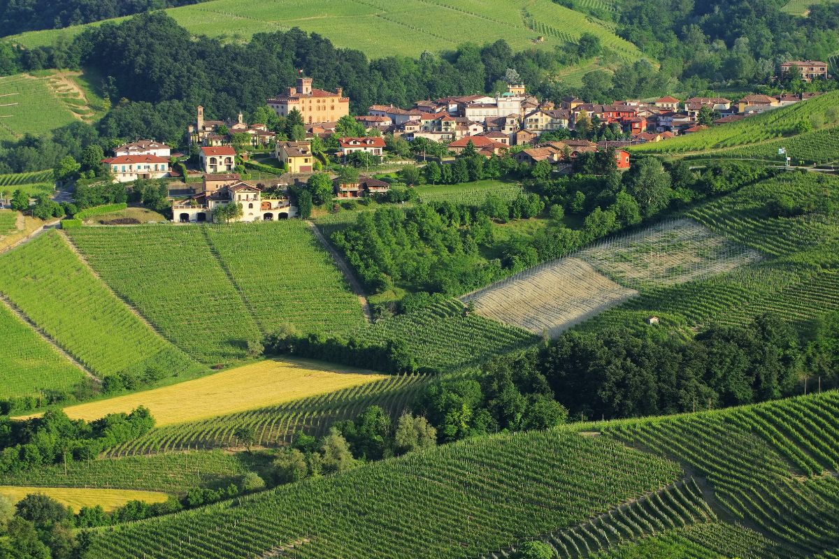 Scopriamo Barolo: vino e storia nel cuore del Piemonte