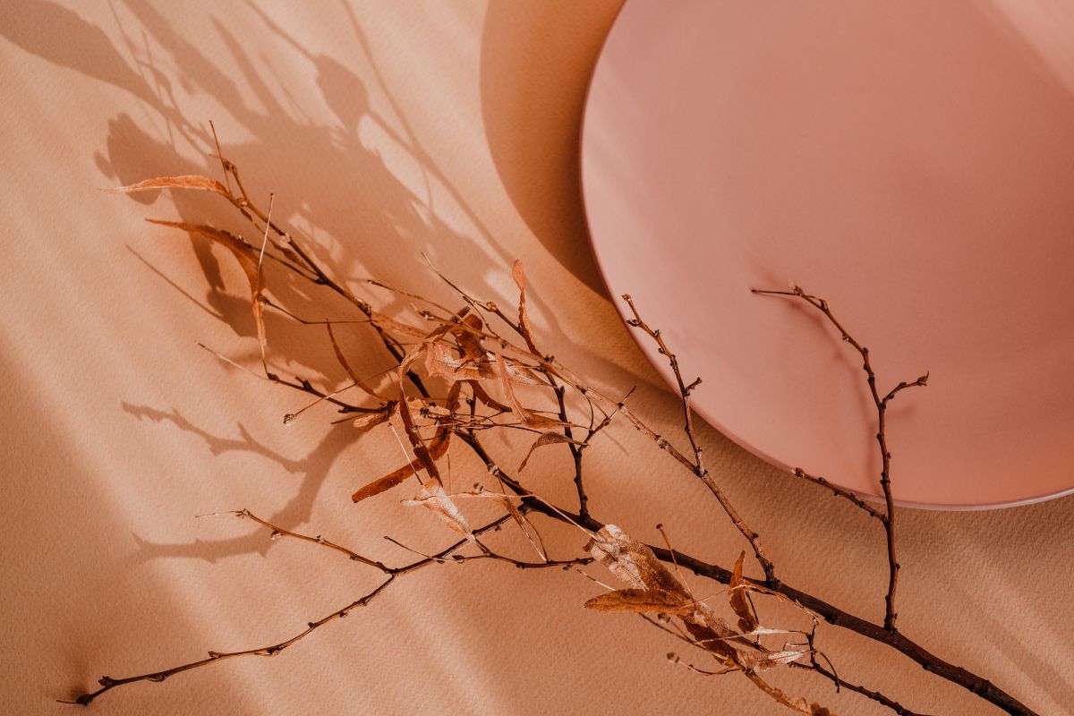 Earthy Boho: Guida Completa per un Arredamento Natural Chic