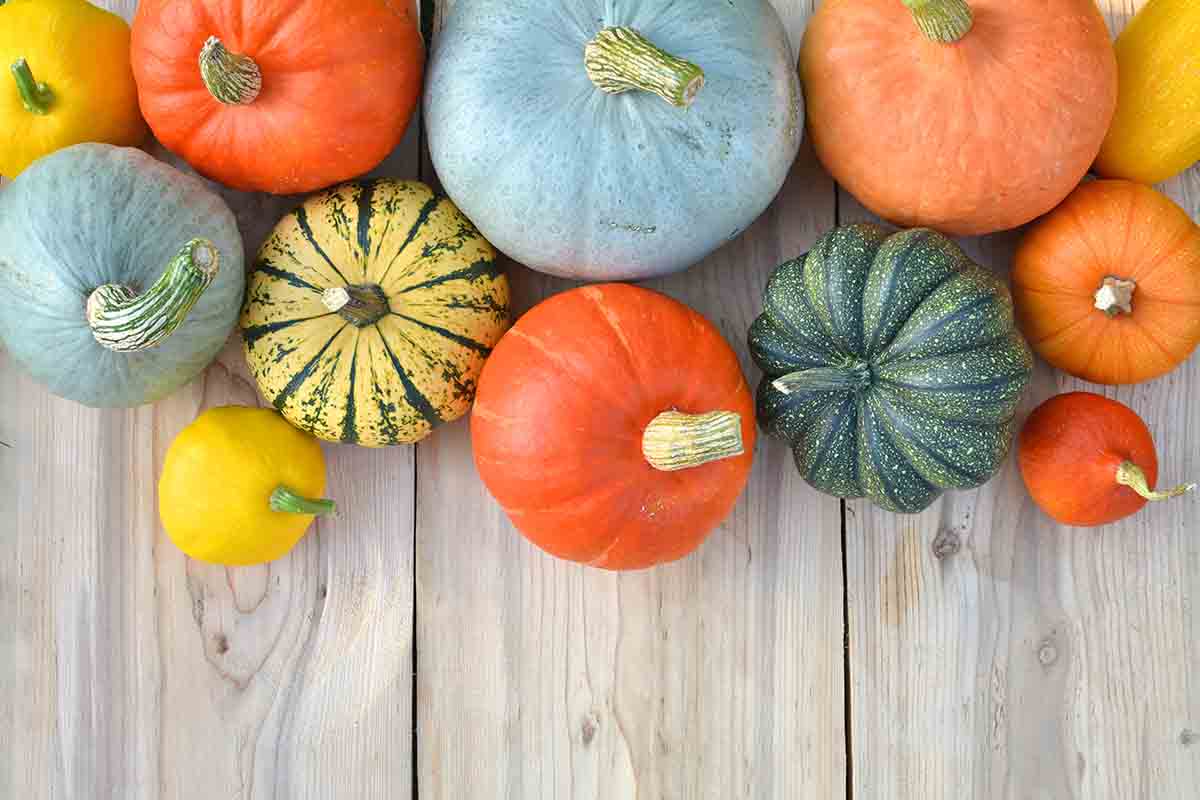 10 cibi nutrienti autunnali a cui non poter rinunciare