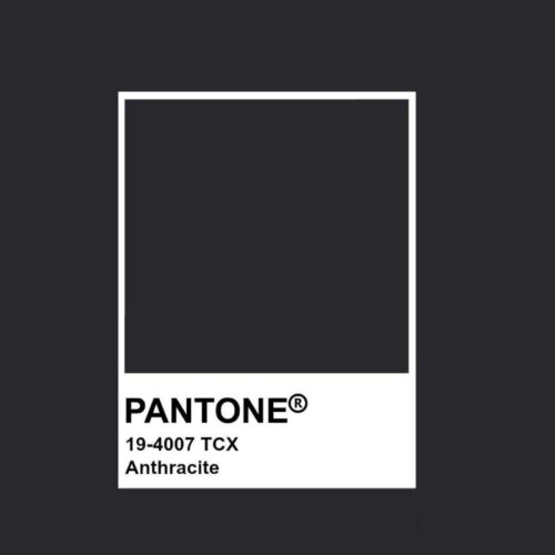 Pantone Color Borgogna: il colore del 2025